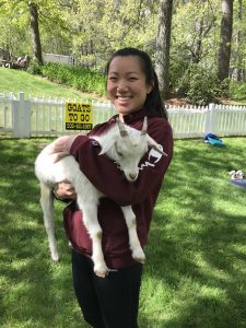 Events – GOATS TO GO